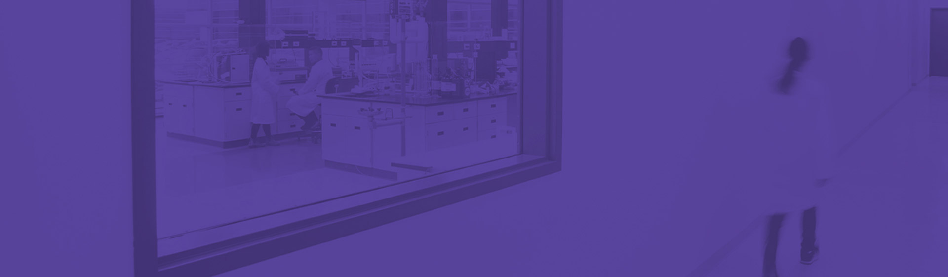 Vision & Values - Diteba